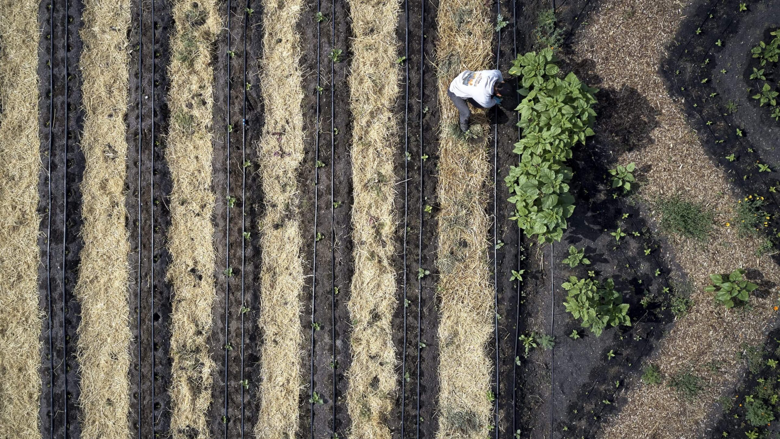 Staff - Center for Land-Based Learning