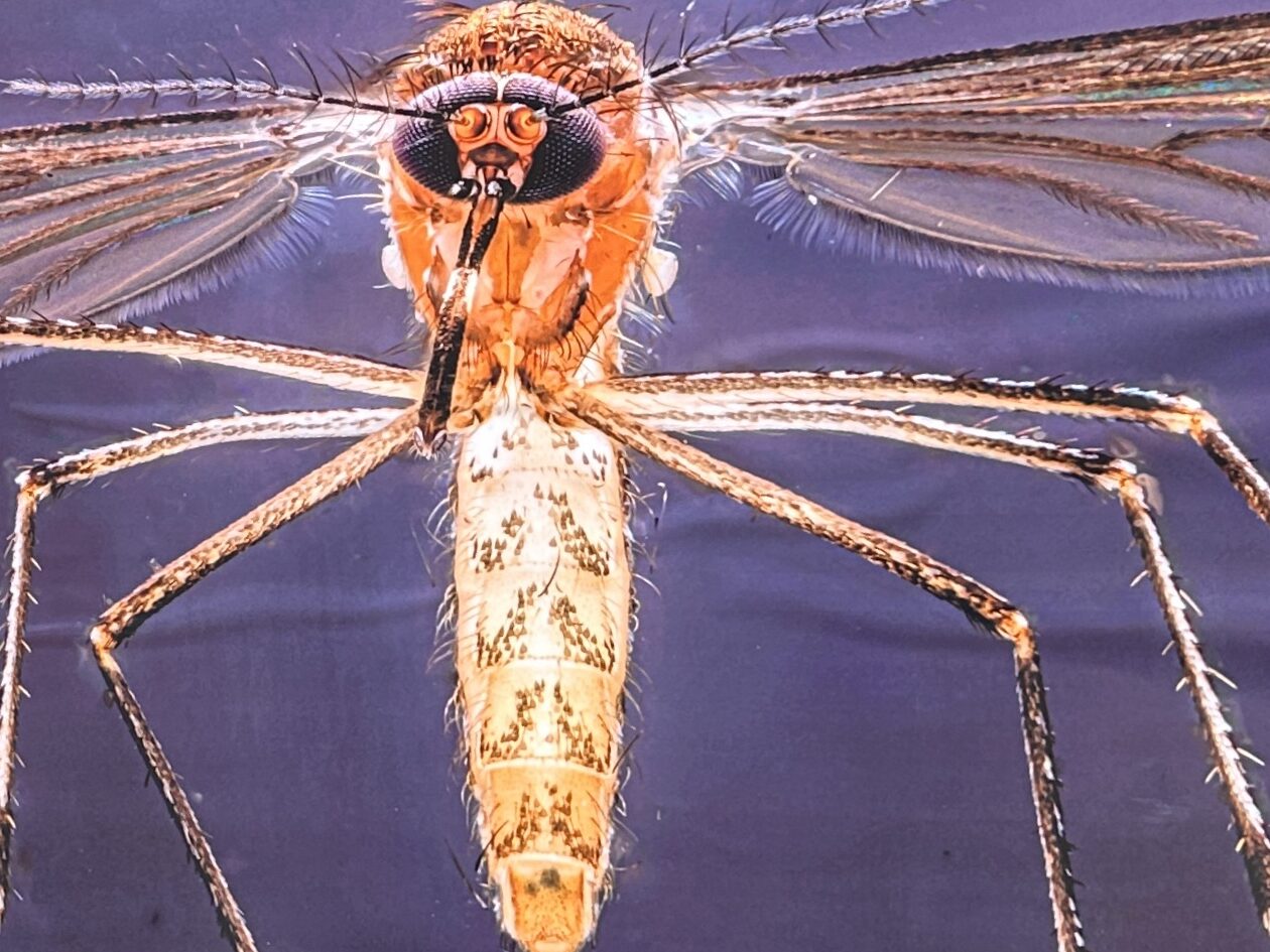 Welcome - Center for Land Based Learning