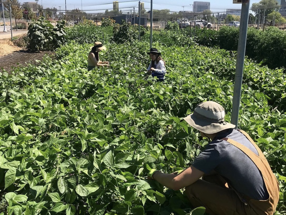 Welcome - Center for Land Based Learning