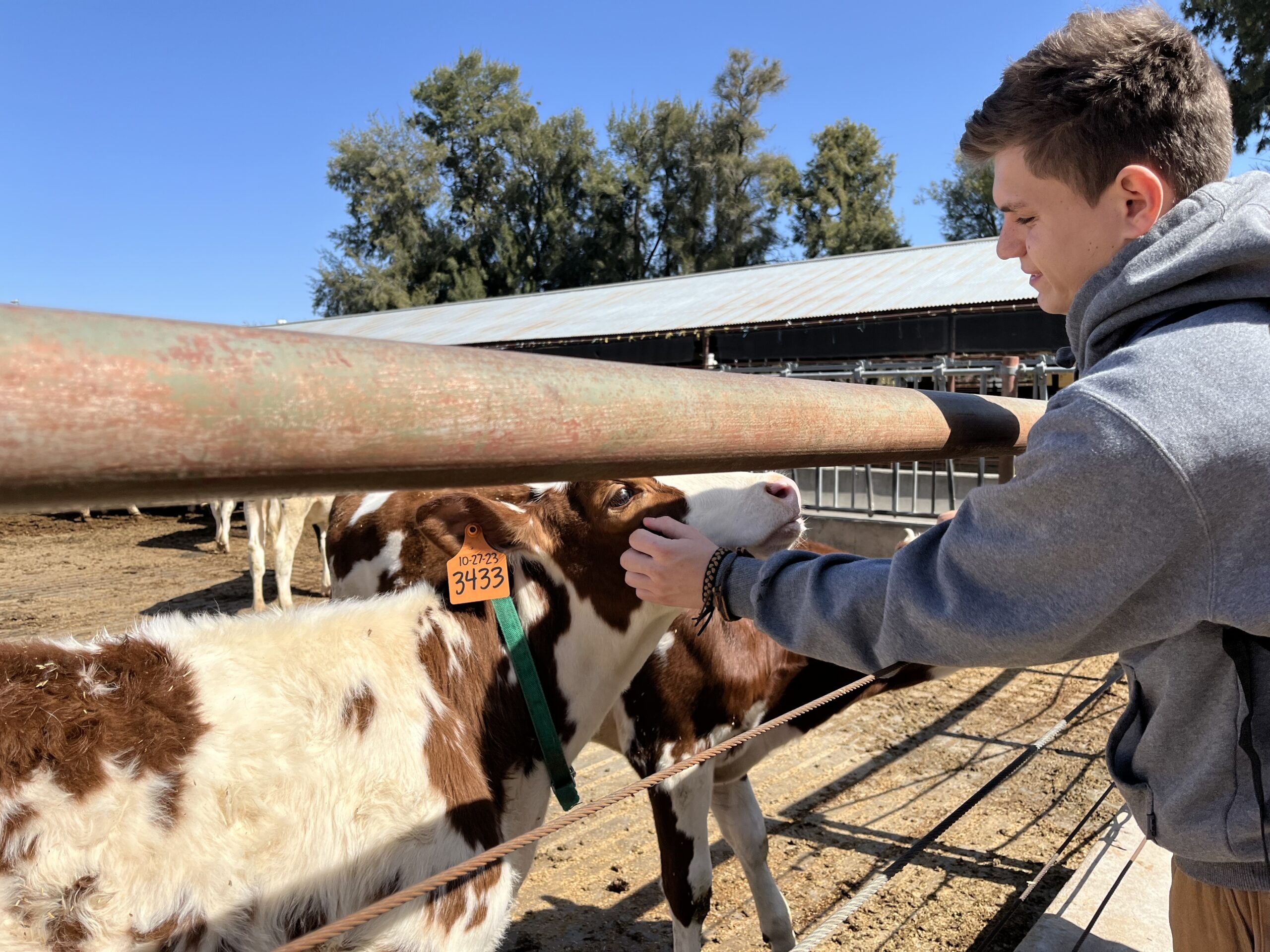 Urban Ag Internships - Center for Land Based Learning