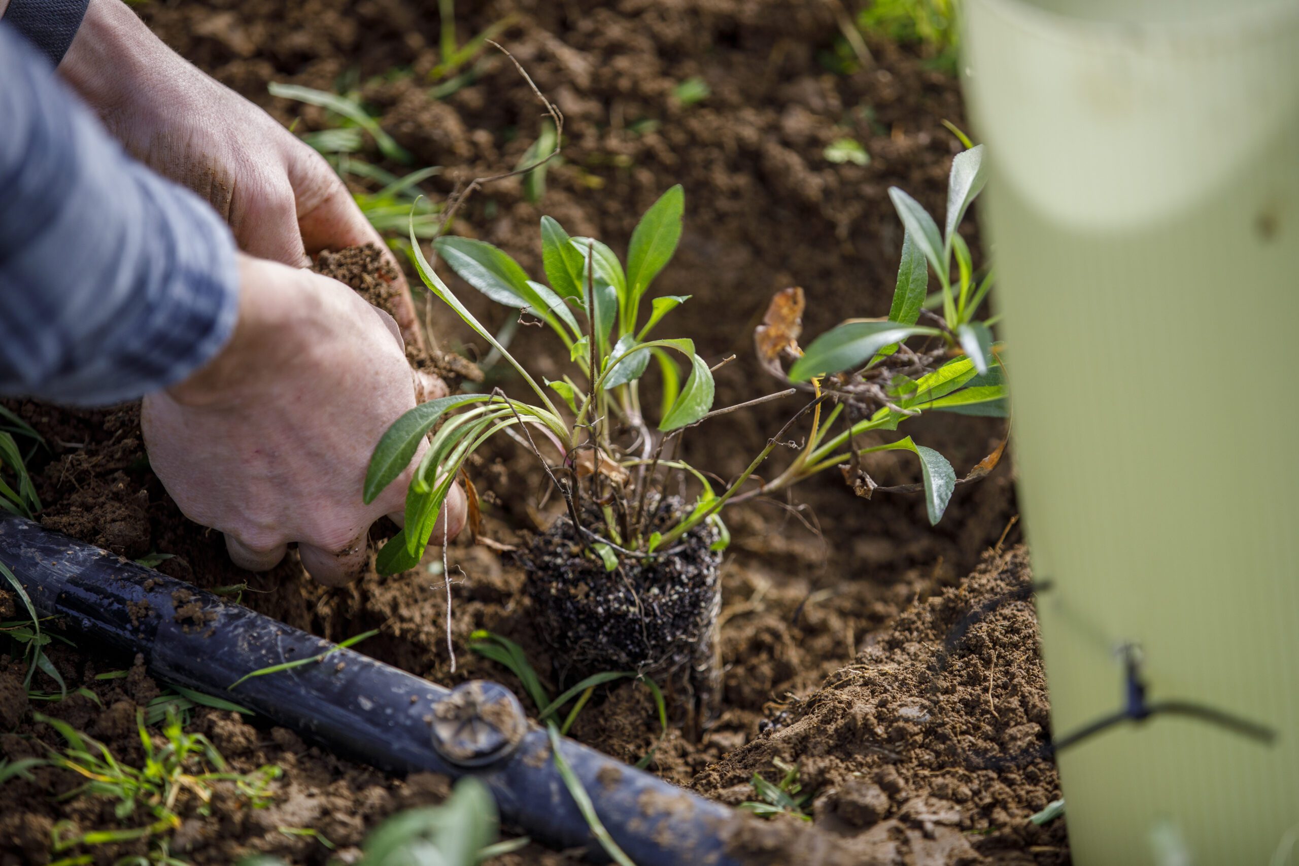 SLEWS Program - Center for Land Based Learning