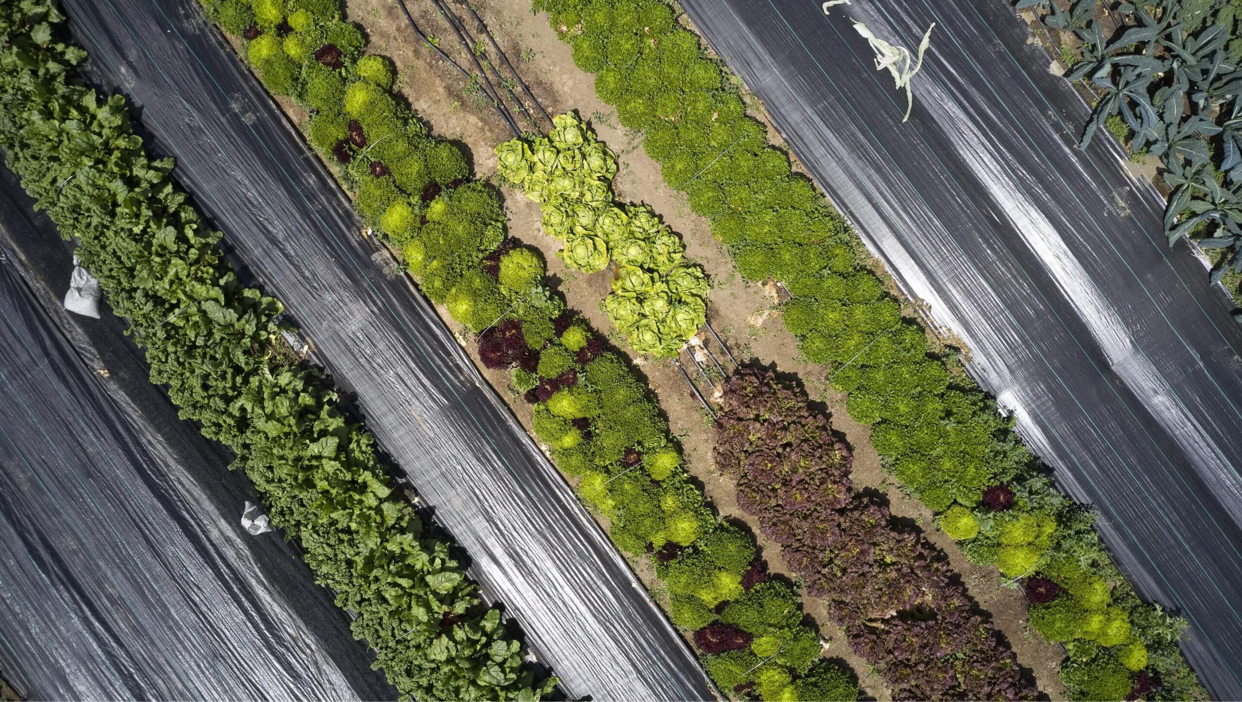 Education and Outreach - Center for Land Based Learning