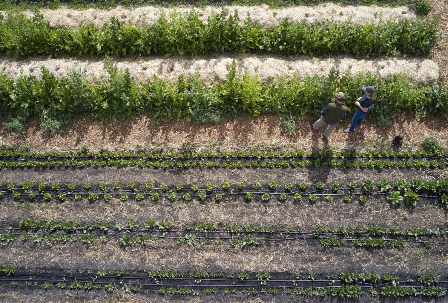 Welcome - Center for Land Based Learning