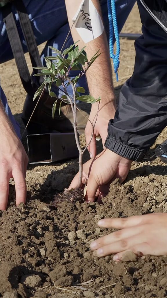 Farm & Climate - Center for Land Based Learning